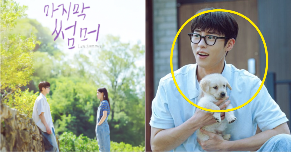 청춘들의 성장 로맨스 드라마 '마지막 썸머' 줄거리 및 출연진, 등장인물 등 관련 정보 총정리 (+시청률, 촬영지, OTT, OST) : 네이버 블로그