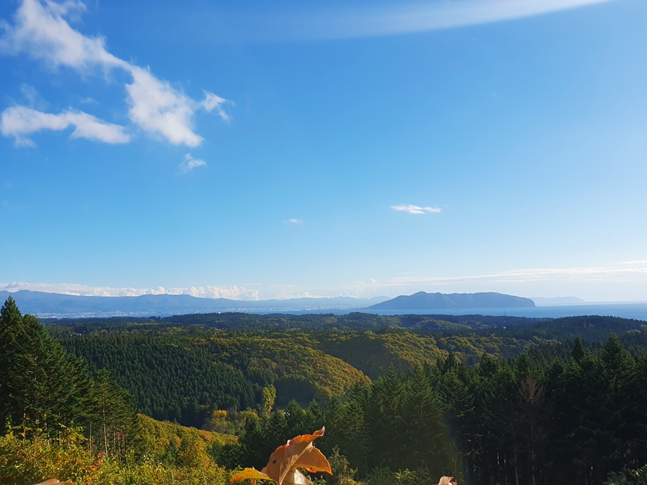 로마로 가는 길 - 트라피스트수도원_2025.10 : 네이버 블로그