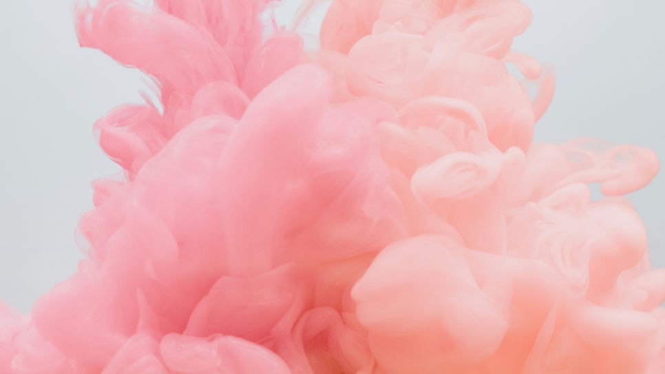 L*N*** 울 블렌드 컬러 블록 시퀸 니트 자켓 25FW신상 : 네이버 블로그