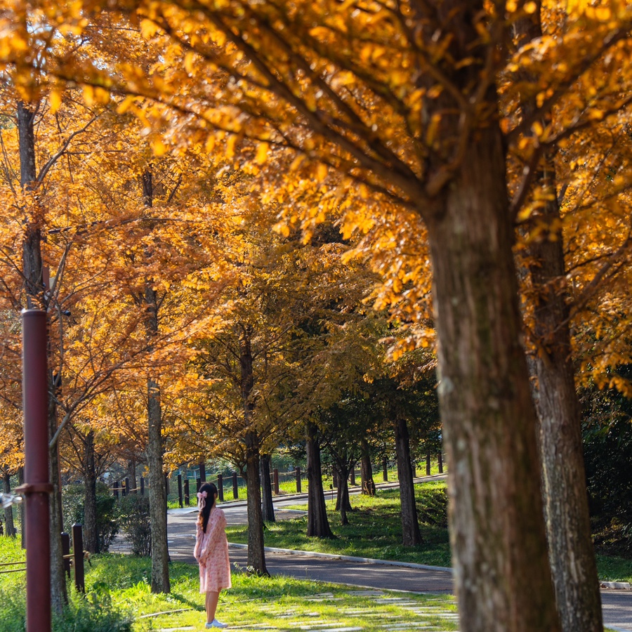 통영 가볼만한곳 RCE 세자트라숲국내 가을여행지 추천 : 네이버 블로그