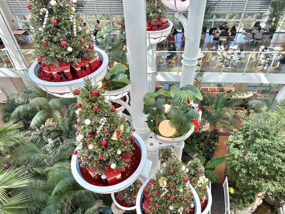 [포레스트아웃팅스 용인점]크리스마스 트리장식 역대급이예요.(포토존,주차,메뉴) : 네이버 블로그