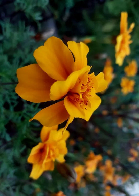 내 안에 거하라 : 네이버 블로그