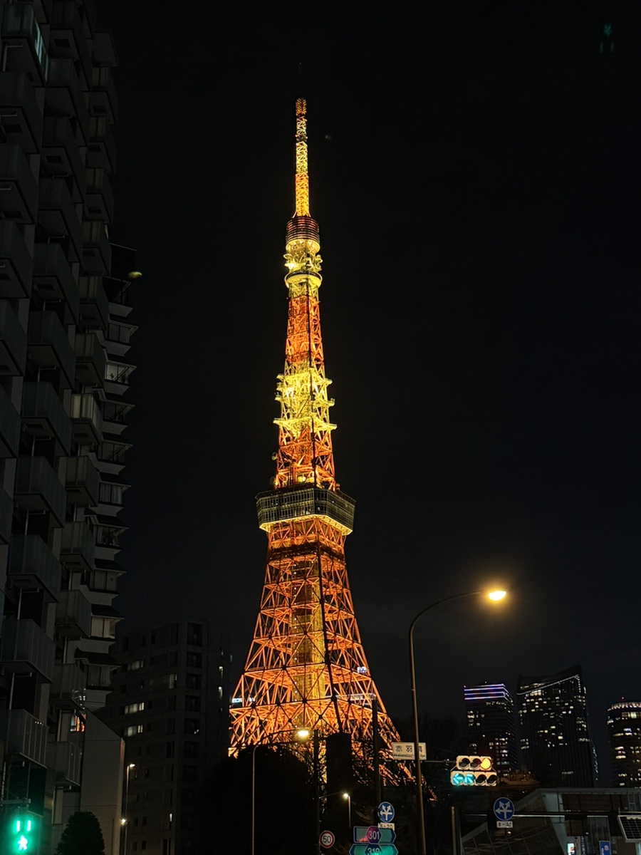 급나 짧은 도코,내용도 머가 없는 도쿄 : 네이버 블로그