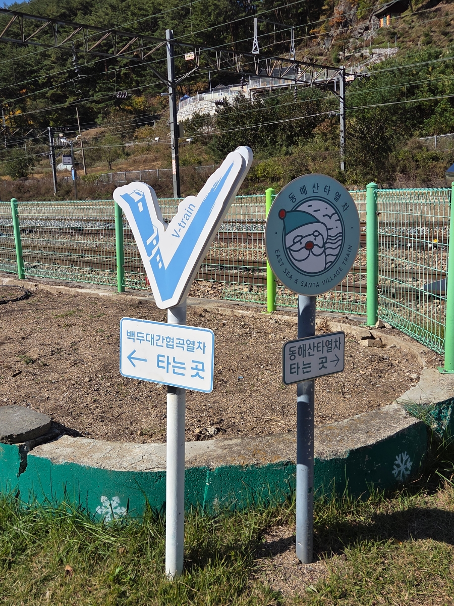 관광열차타고 부산~강릉(협곡열차, 산타열차) : 네이버 블로그