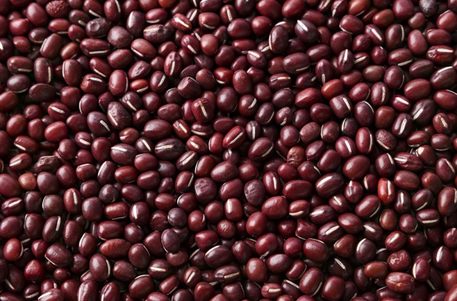 치과 종사자 구강 직업병 예방과 관리 프로그램 안내:) : 네이버 블로그