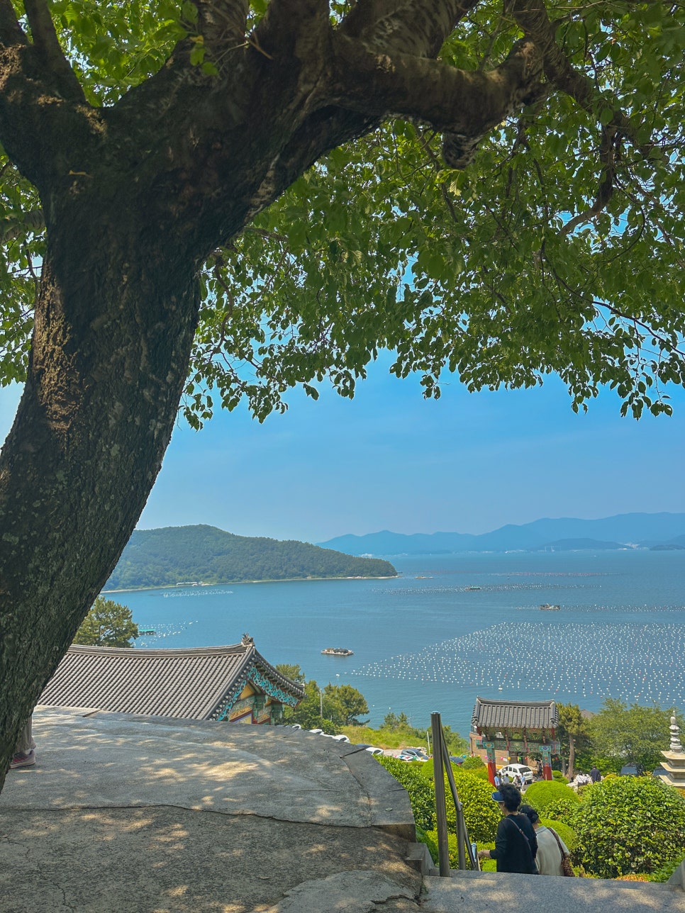 부산 근교 가을 드라이브 코스 추천 best 4 11월 가볼만한곳 : 네이버 블로그