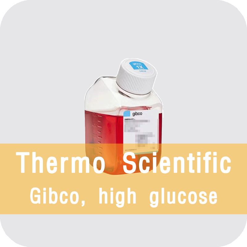 [Thermo Fisher Scientific] 써모피셔사이언티픽, Gibco DMEM, high glucose 세포배양 기본 ...