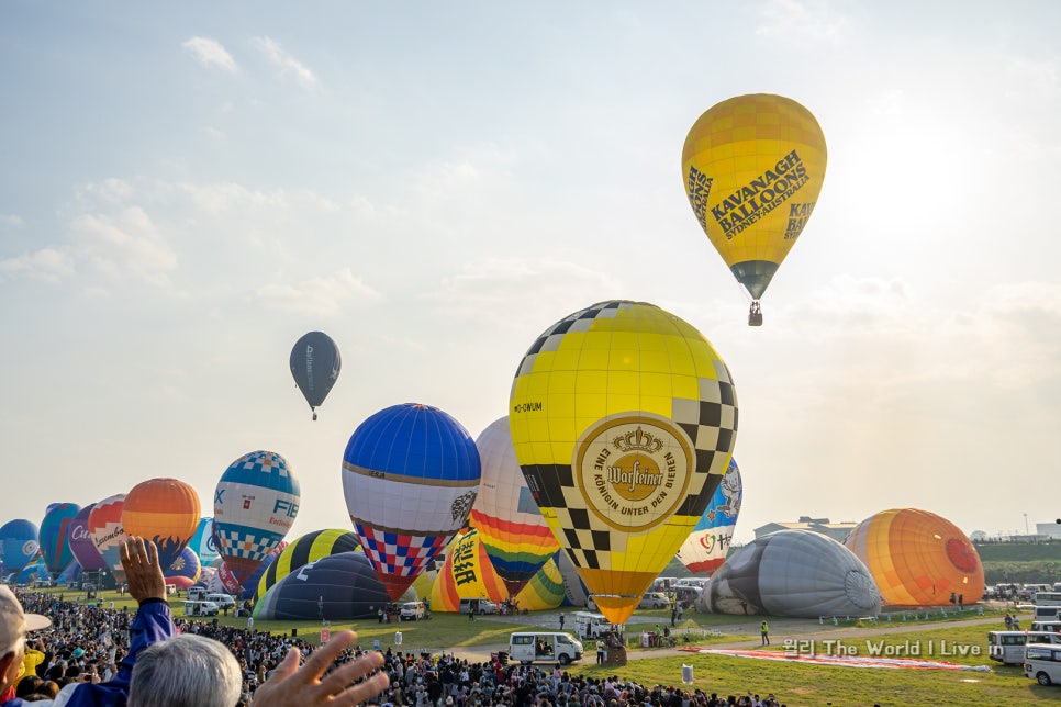 일본 혼자 여행 일본 사가 여행 사가현 벌룬페스티벌 : 네이버 블로그