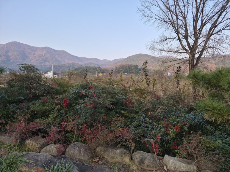 가창주택 냉천리 전원주택 매매입니다 : 네이버 블로그