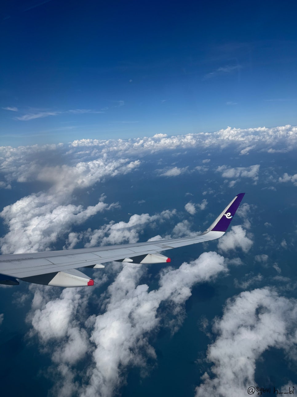 [5박 7일 홍콩여행] 10월 홍콩여행 1일차 ep.1 (e-SIM 실명인증, 홍콩공항 현금인출, 옥토퍼스카드 수령, 에코트리 ...