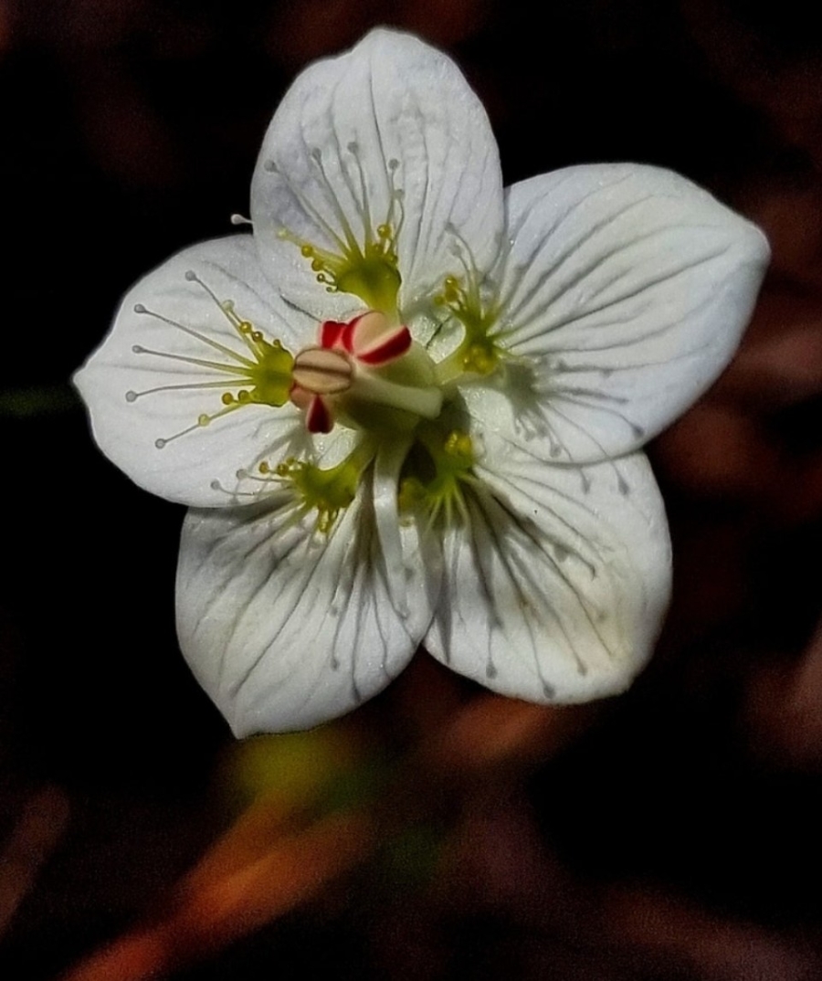 오늘의 비즈니스.문화이야기 '과거가 미래를 구할수 있을까' : 네이버 블로그