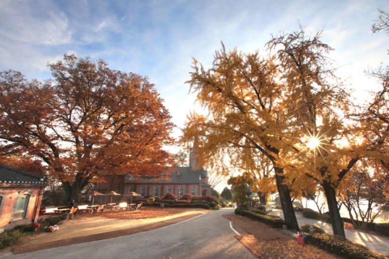 여행장소추천 - 차분하고 조용했던 아산 공세리 성당 풍경 (2025.11.15) : 네이버 블로그