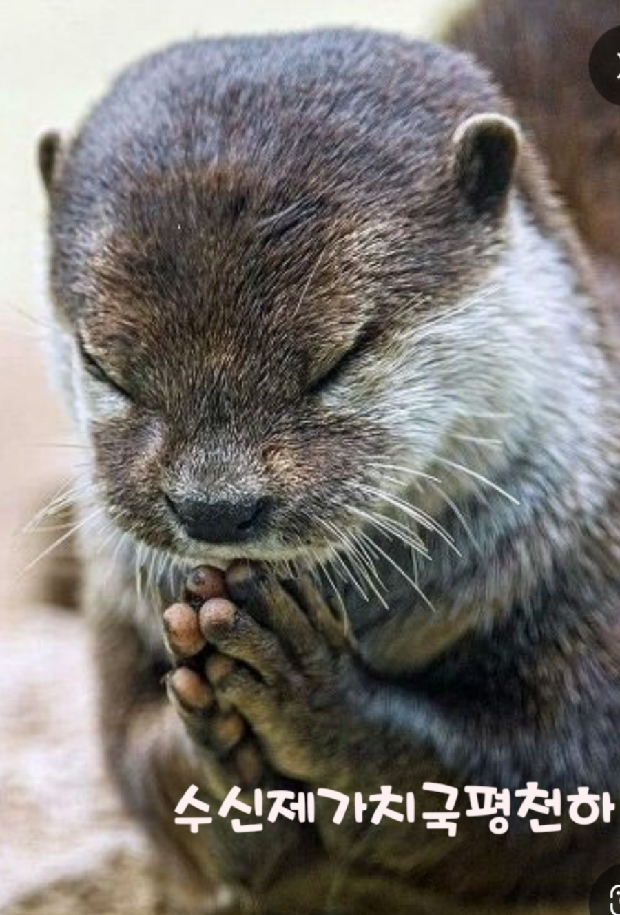 2026학년도 수능 문학 "수궁가" 판소리(18~21).EBS수.특 고전산문(9)완전연계.수.특지문(중략)뒤부터 완전 똑같이 출제.그러나 문제는 수능이 더 쉬웠음 ...