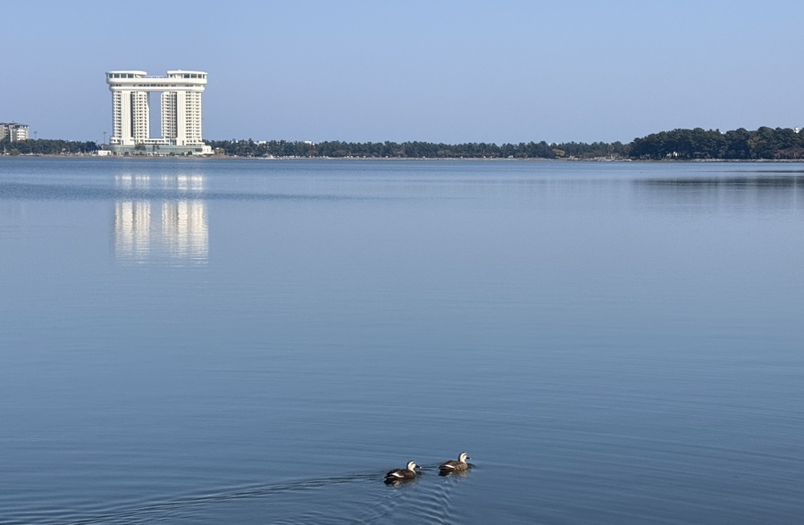 경포호수 한바퀴 걷기 : 네이버 블로그
