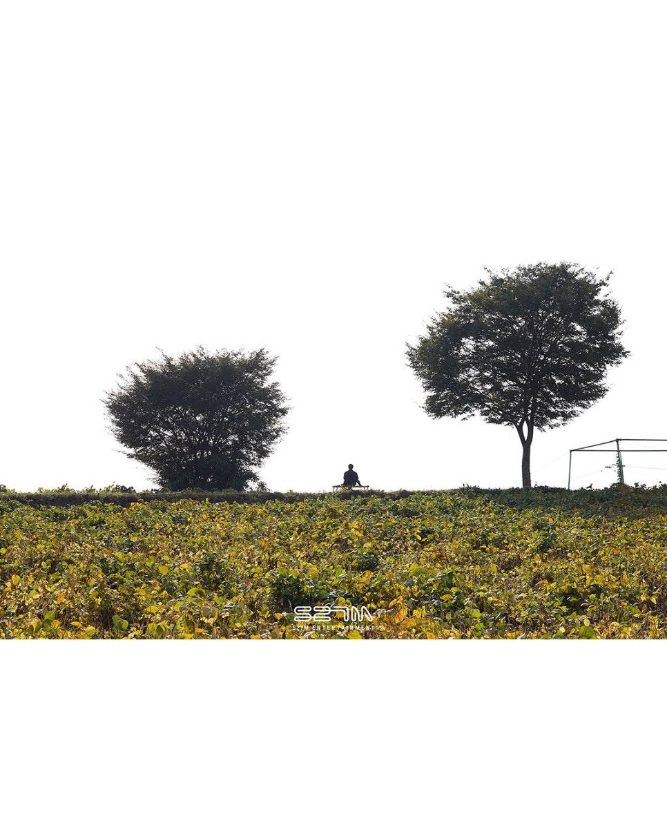 황태자의 첫사랑 OST 나윤권 (Na Yoon Kwon) & 도경수 (Doh kyung Soo) '나였으면' [가사] #RAON ...