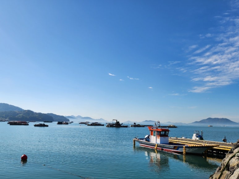 여수 돌산.화태(25.11.15~16) : 네이버 블로그