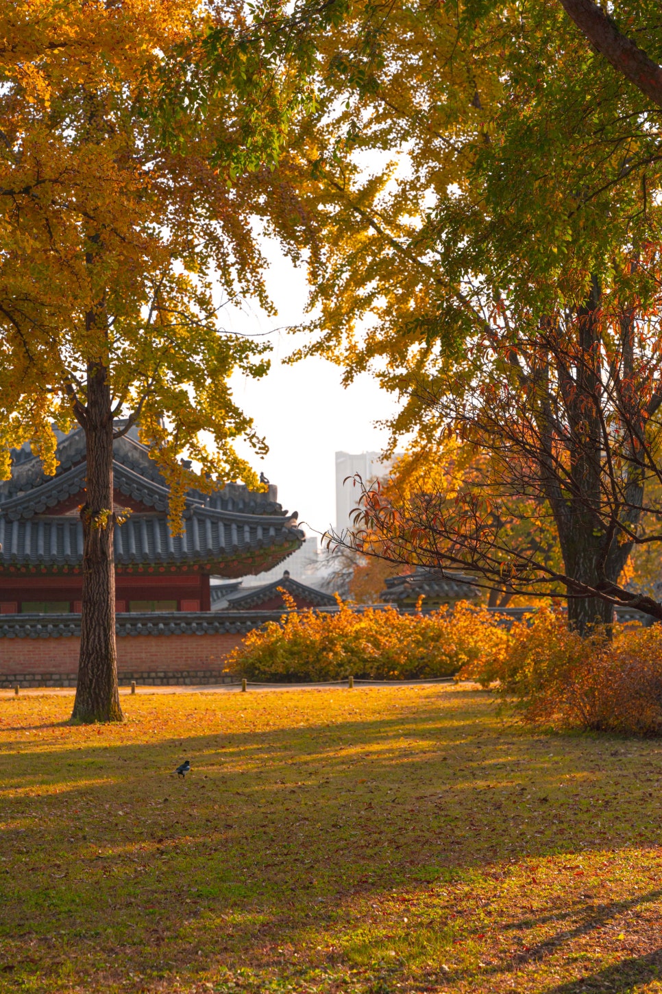 25년 11월 일상 : 네이버 블로그