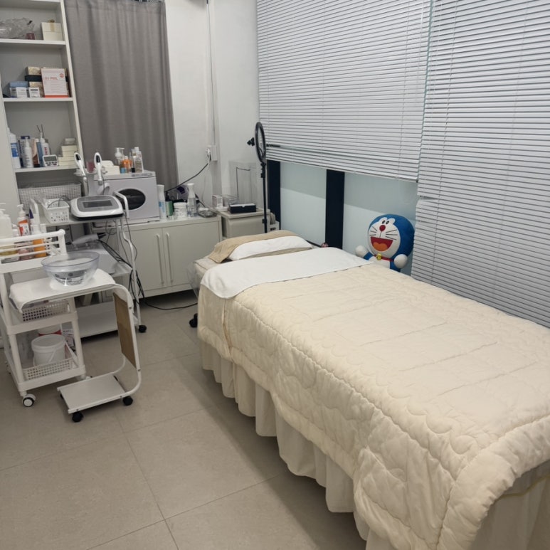 (울산피부관리, 울산에스테틱, 울산 신부관리 추천) - 한올 : 네이버 블로그