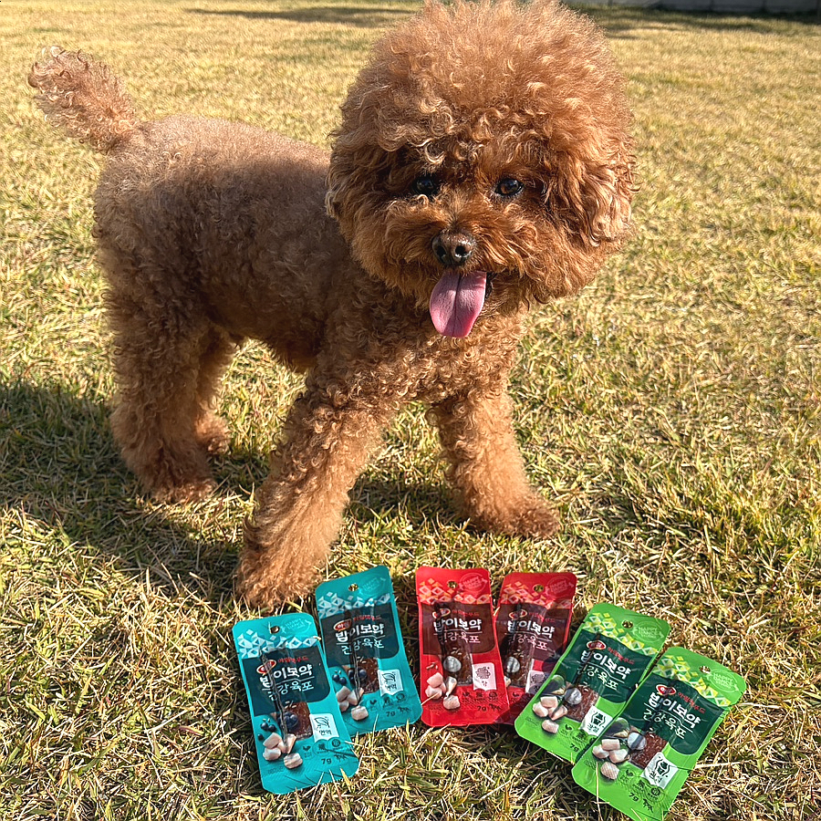 강아지육포 성분좋은 하림 밥이보약 강아지간식 : 네이버 블로그