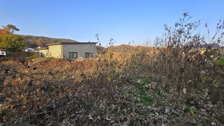 강화도부동산 강화부동산 강화토지 강화남단 급매물토지 평당59만원 남향 약186평 계획관리지역 건축허가 1억1천만원 강화도토지 ...