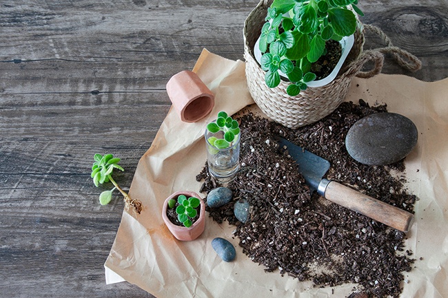 화분흙 폐기 방법 생각보다 까다로워요 : 네이버 블로그