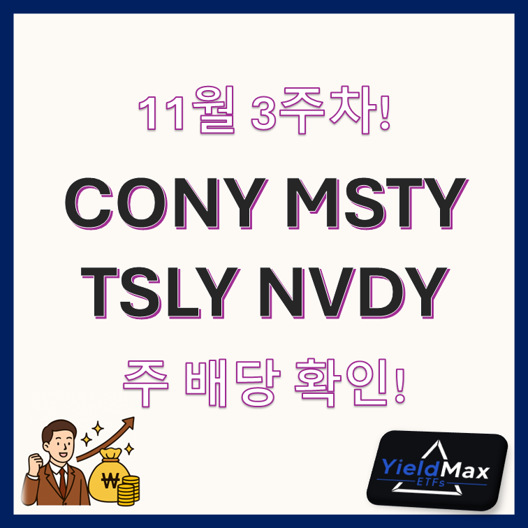 11월 셋째 주 CONY MSTY TSLY NVDY 배당 확인 (GROUP2) : 네이버 블로그