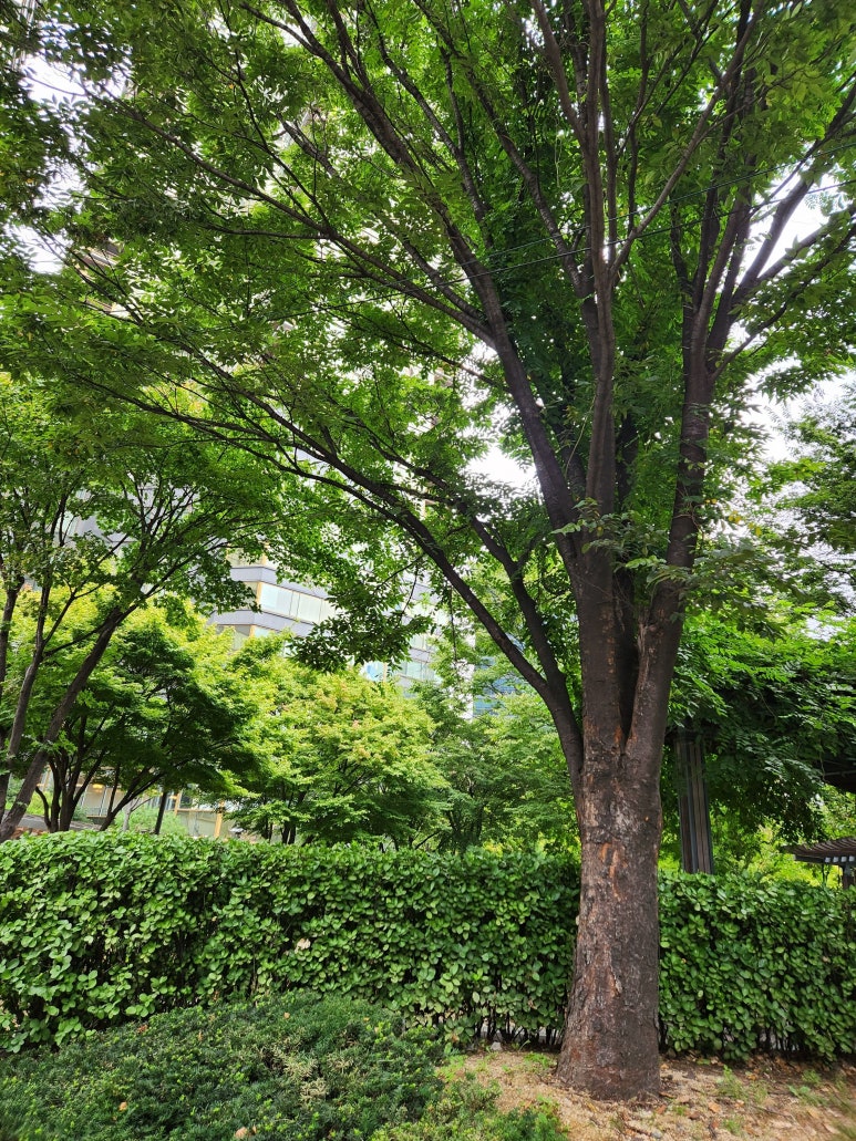 SK에코플랜트 상장 IPO, 상장예비심사 ‘속도전’…2026년 7월을 향한 카운트다운 : 네이버 블로그