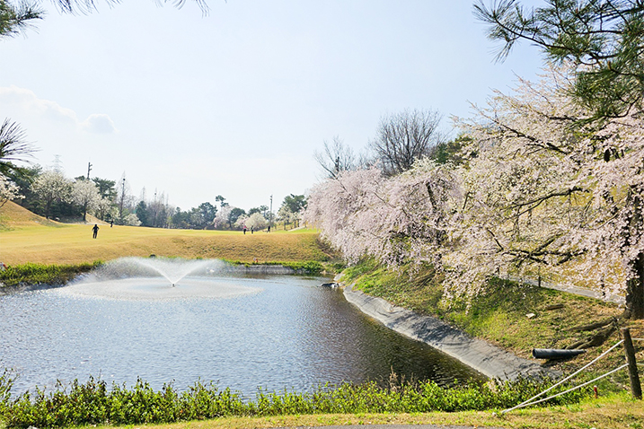 라비돌CC 11월 그린피,카트비,캐디피 예약하기 : 네이버 블로그
