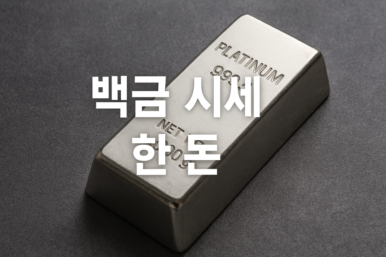 백금 시세 한 돈, 투자 전에 반드시 알아야 할 모든 것 : 네이버 블로그