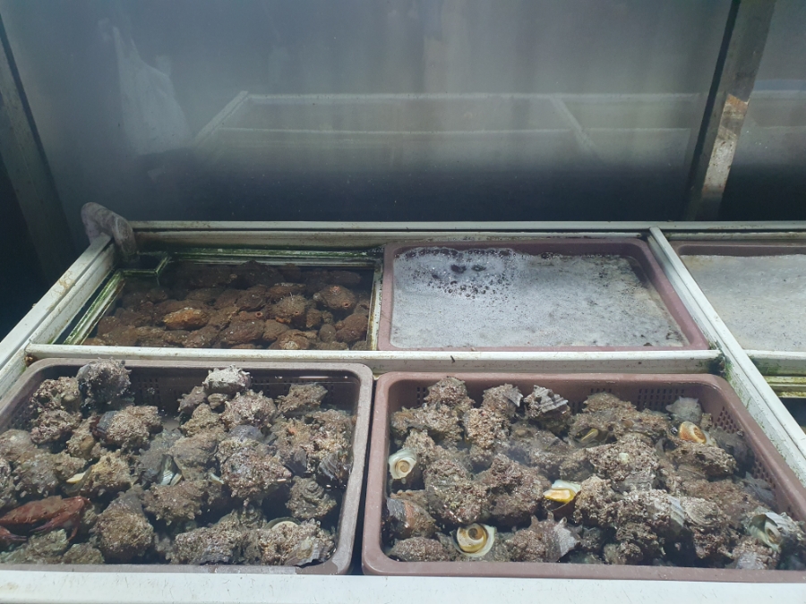 [해운대맛집] 통영식 다찌 그대로! 해운대다찌 — 부산여행필수코스 해산물 오마카세 : 네이버 블로그