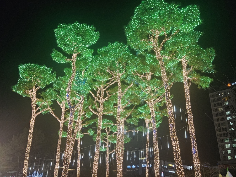 테크노의 미리클쑤마쑤 : 네이버 블로그