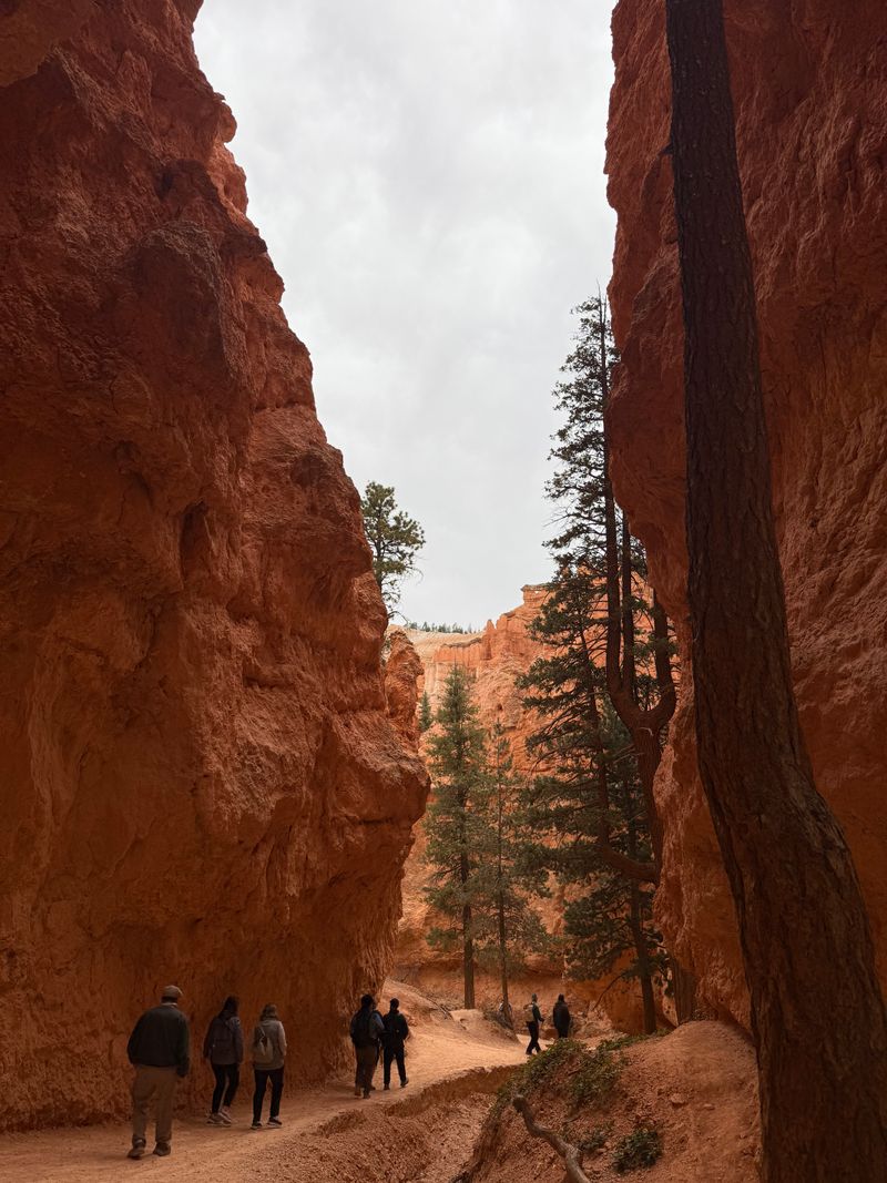 미국 그랜드캐년 투어 라스베이거스 vs LA 출발 - 1박2일, 2박3일 투어 비교 총정리 : 네이버 블로그