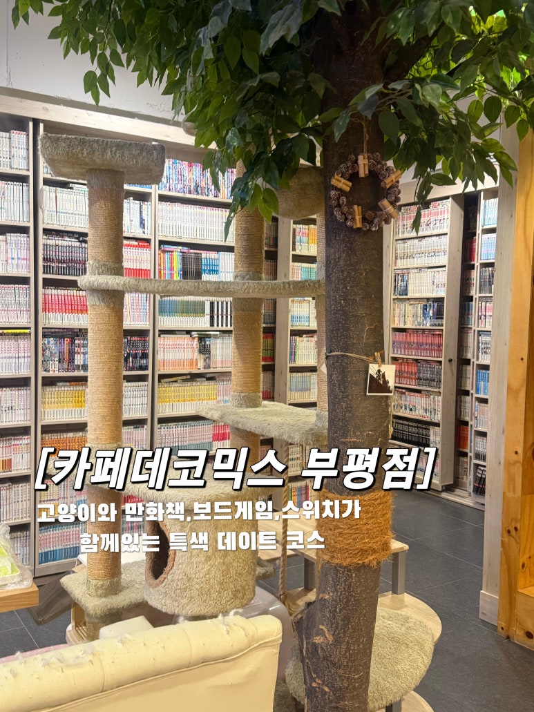 부평 이색 카페 카페데코믹스부평점🐈 : 네이버 블로그