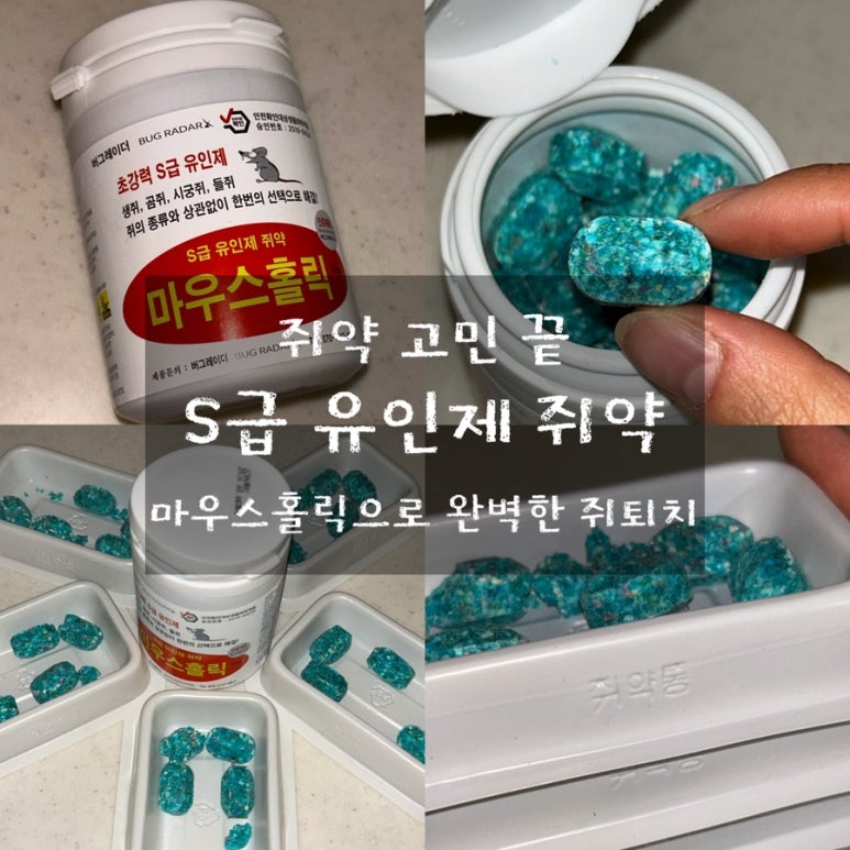 쥐약 알약 추천🐭 마우스홀릭으로 완벽한 쥐 퇴치 성공 후기 : 네이버 블로그