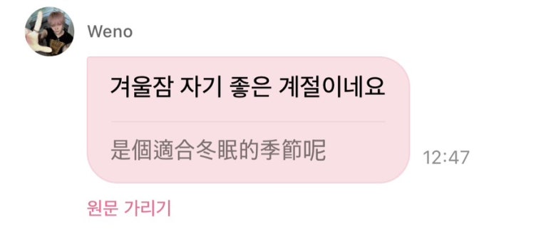 겨울잠 자기 좋은 계절이네요 | 2025 WRAPPED MY RECORD : 네이버 블로그