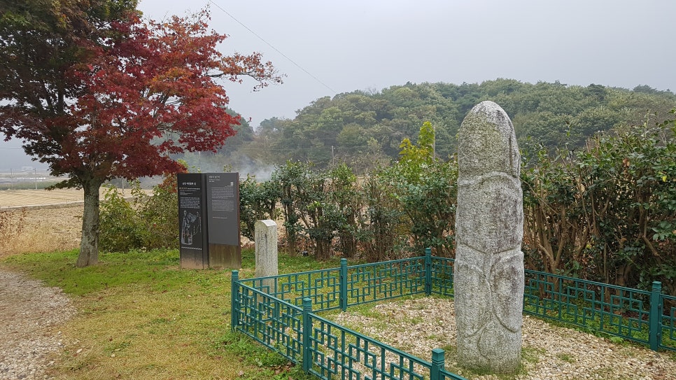 ‘좆도 모른다’의 어원을 찾아서 : 네이버 블로그