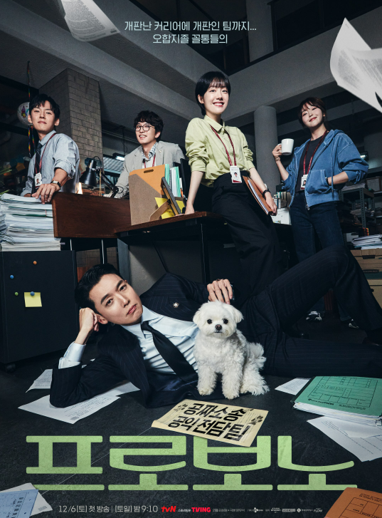 tvN 드라마 ‘프로보노’ 뜻 재방송 OTT 출연진 등장인물 강다윗 박기쁨 오정인 강아지 작가 몇부작 : 네이버 블로그