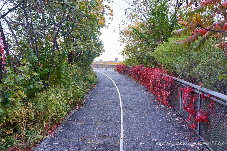 뉴욕 여행: 첼시 Chelsea, 더 하이라인 the high line, 리틀 아일랜드 little island : 네이버 블로그