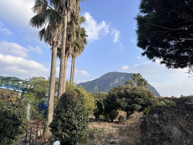 [서귀포/안덕/사계] 종일 낚시 후 몸 풀기 딱 좋았던 제주 산방산탄산온천 내돈내산 솔직 후기 : 네이버 블로그