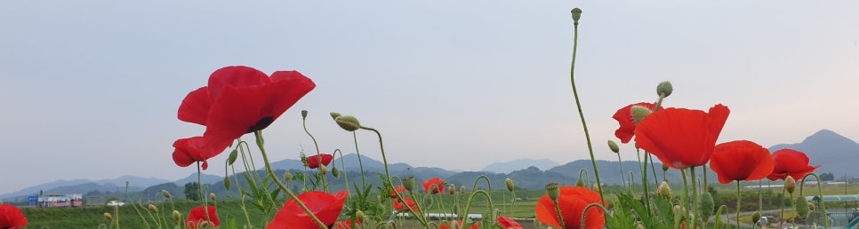 【은주】 매력적인 창원 마산 양덕동 롯데캐슬센텀골드 저층 매매 : 네이버 블로그