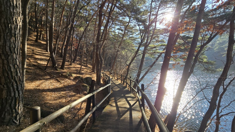 [충북] 2025, 보은 속리산 … 2. 세조길 : 네이버 블로그