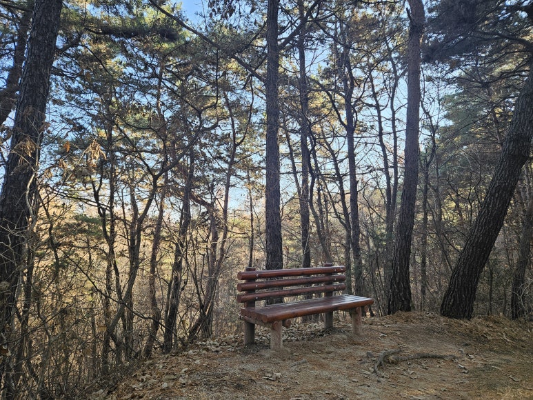 춘천 국사봉 등린이,아이와 함께하기 좋은 가벼운 등산로 : 네이버 블로그