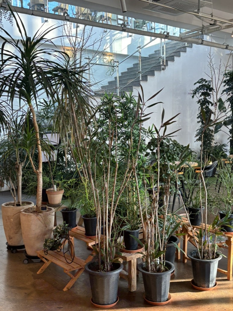 평택 대형 카페 평택 데이트 평택 베이커리카페 [카페타임슬라이스] : 네이버 블로그