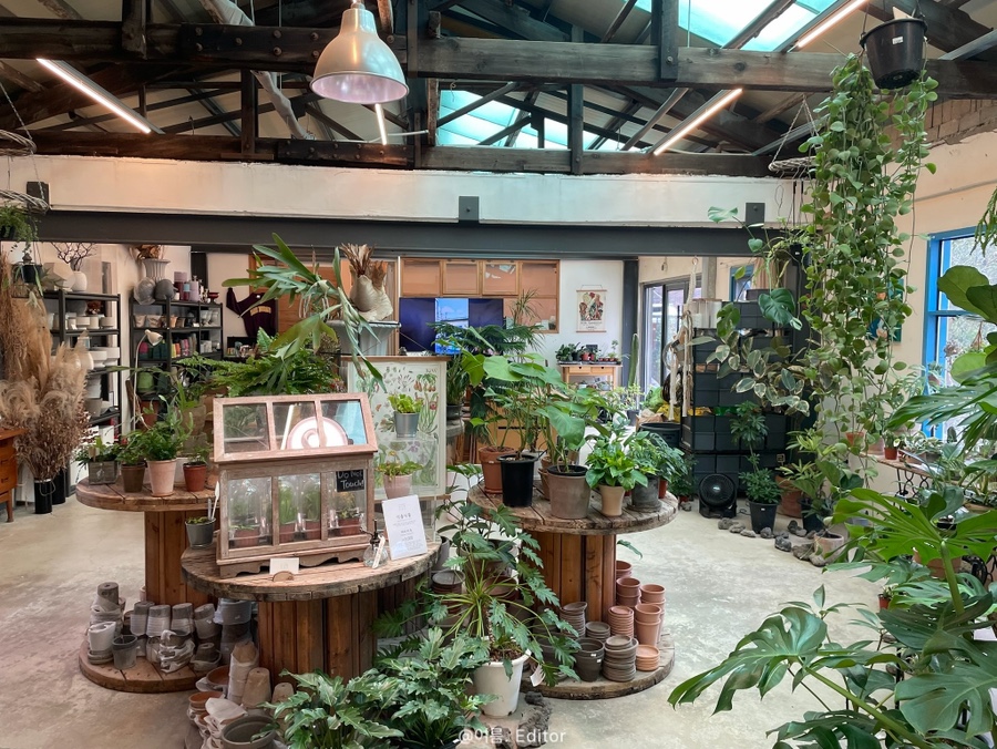 부산 가볼만한곳 추천, yes24 부산 수영점/ 부산 실내 데이트 추천, 복합문화공간 F1963 : 네이버 블로그