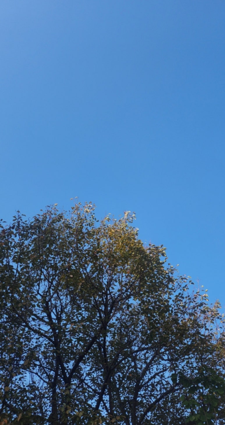 까닭/정호승 : 네이버 블로그