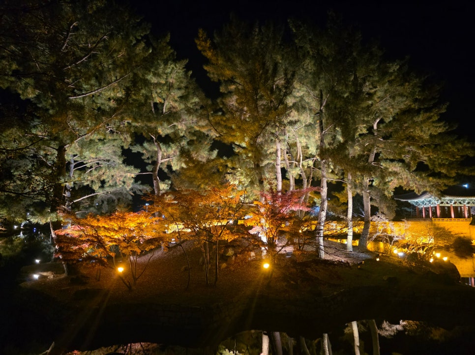 [경주 야경명소] 동궁과 월지(안압지) 입장료 주차장 / 대릉원 - 첨성대 : 네이버 블로그