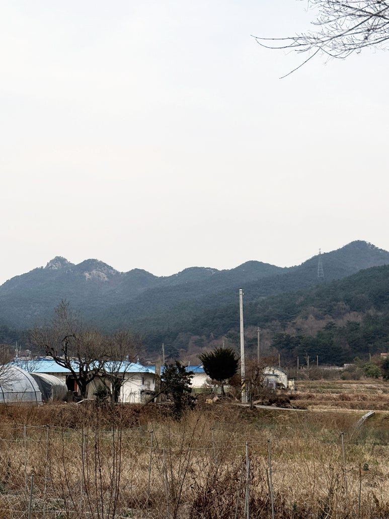 서산 팔봉산 맛집, 공기좋고 맛도좋은 무쇠솥밥 쌈밥정식 '창포가든' : 네이버 블로그