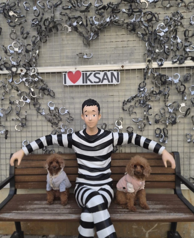 익산가볼만한곳) 익산교도소세트장 #2025익산반려동물페스티벌 #익산애견동반 : 네이버 블로그