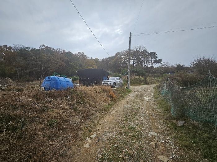 [경기파주토지(전)경매] 파주시 파주읍 향양리 159-3 경매 # 2024타경8221 # : 네이버 블로그