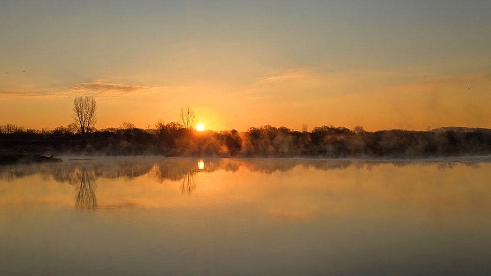 이번 겨울 처음 만난 미호강 물안개 : 네이버 블로그